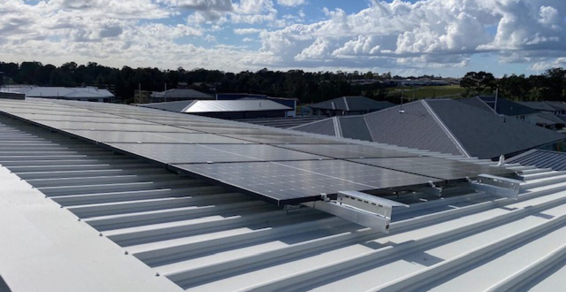 Best Types Of Indoor Plants For Australian Homes