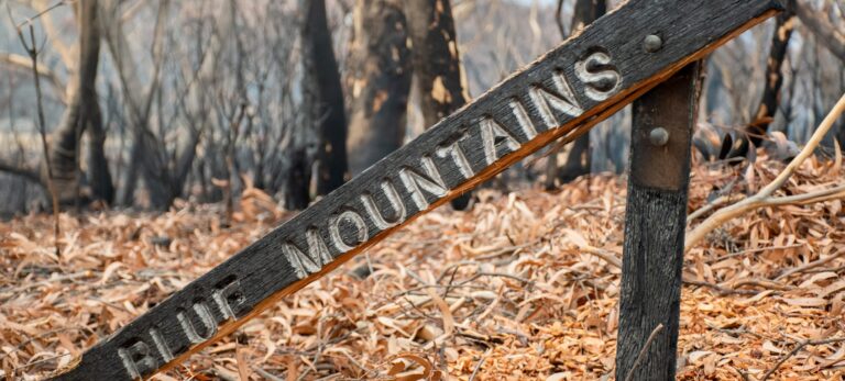 How to Assess Bushfire Attack Level Ratings in NSW l Better Built Homes